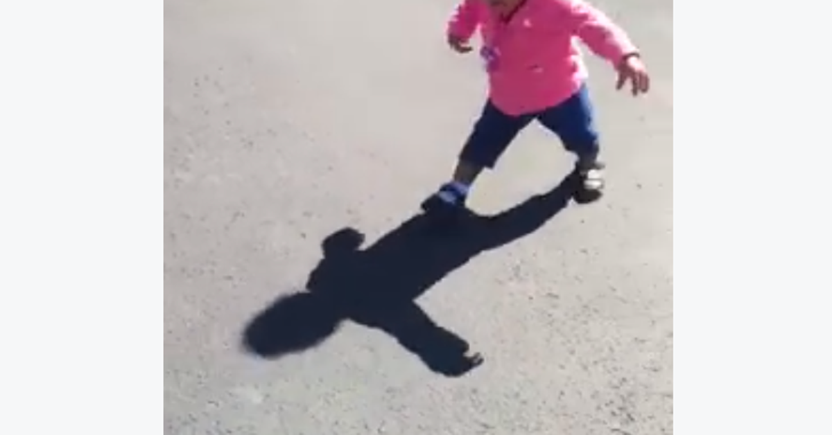 We’ve All Been This Adorbs Toddler Scared Of Her Shadow