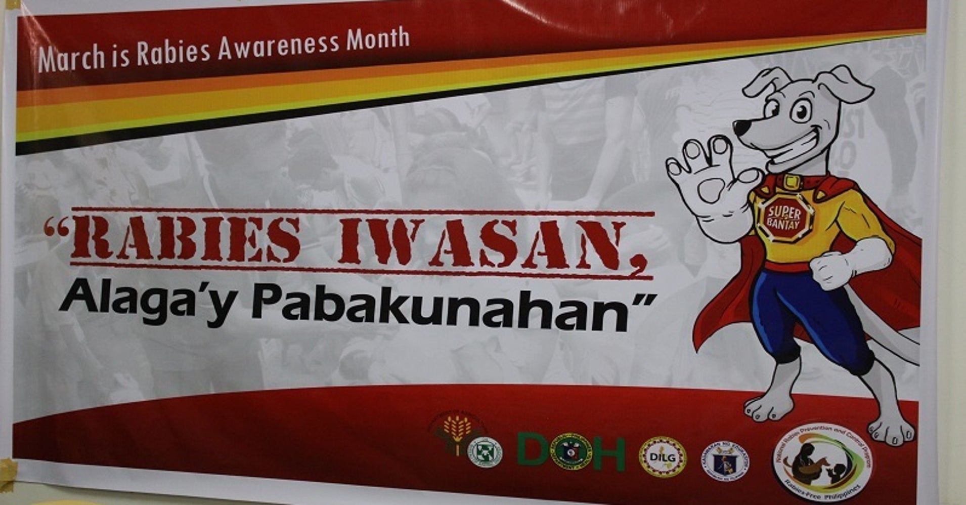 Fighting Rabies With Awareness In The Philippines | HuffPost