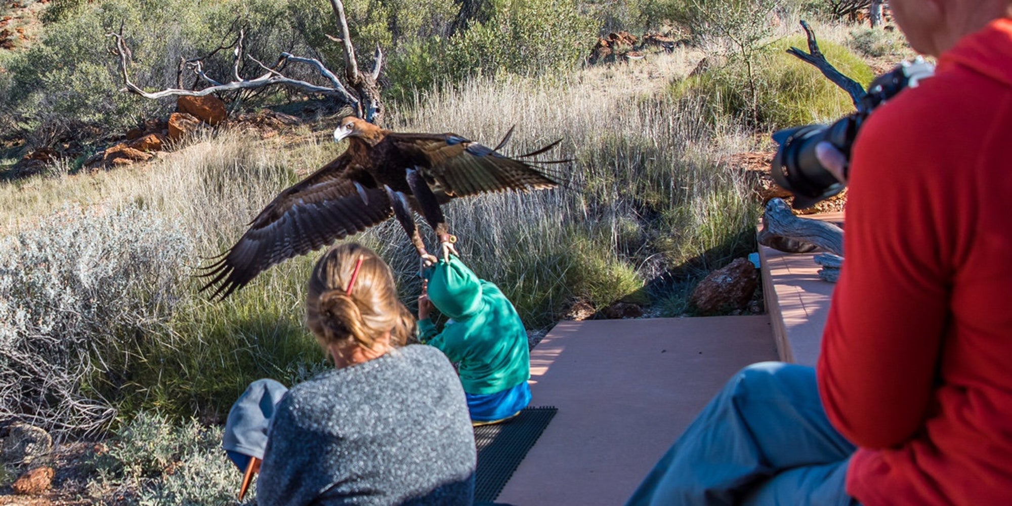 Eagle Tries To Carry Off Small Child During Bird Show | The Huffington Post