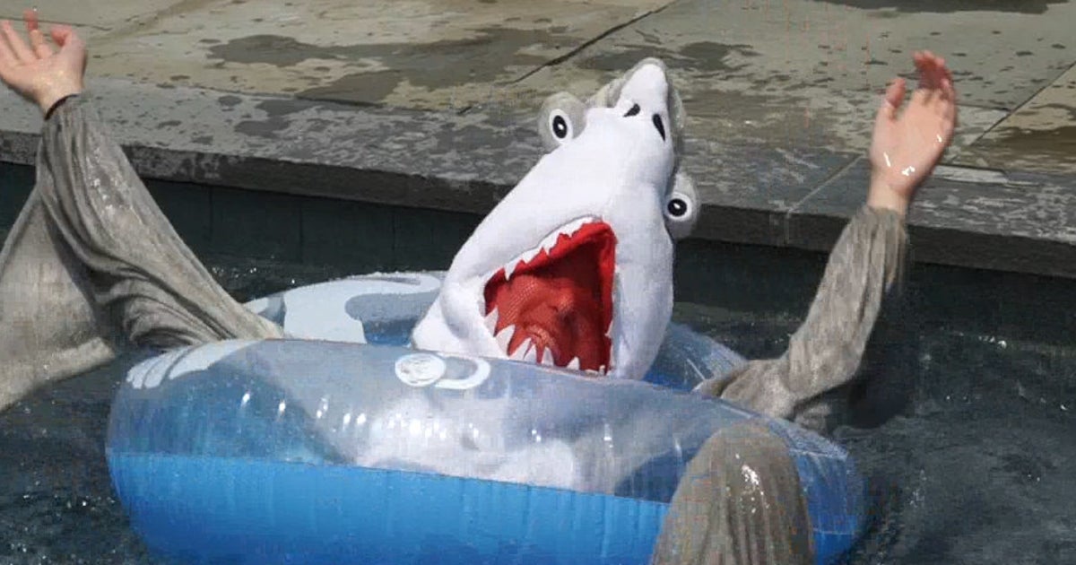 16 Epic Behind-The-Scenes Moments From Shark Week | HuffPost Entertainment