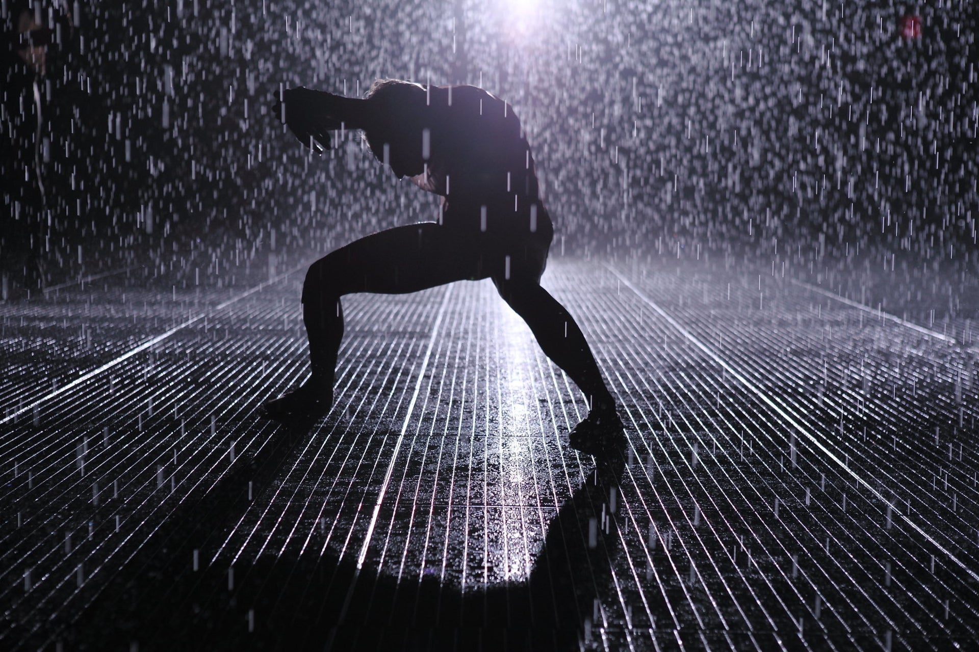 The 'Rain Room' Is Coming To Los Angeles, Not To Be Confused With ...