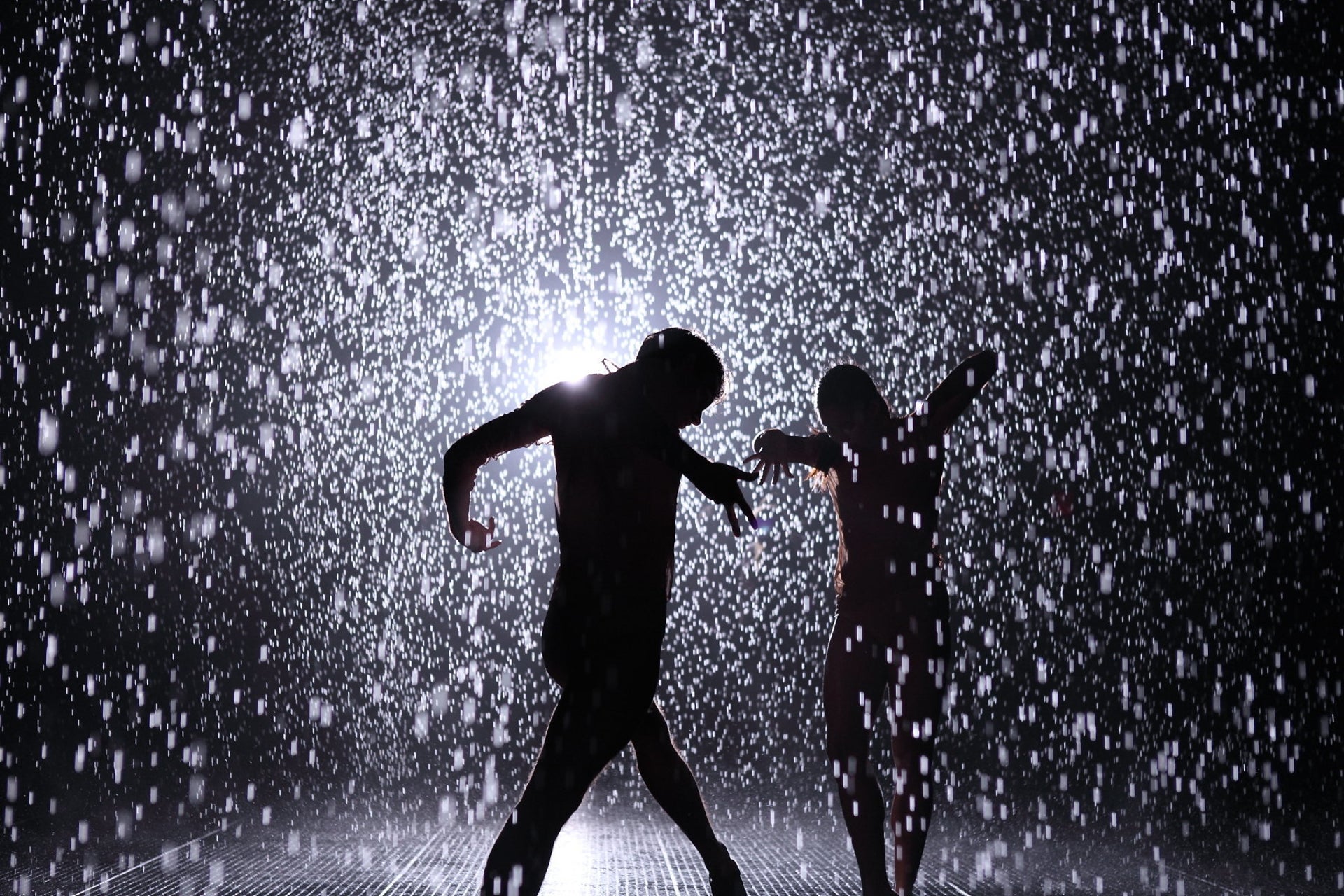 The 'Rain Room' Is Coming To Los Angeles, Not To Be Confused With ...
