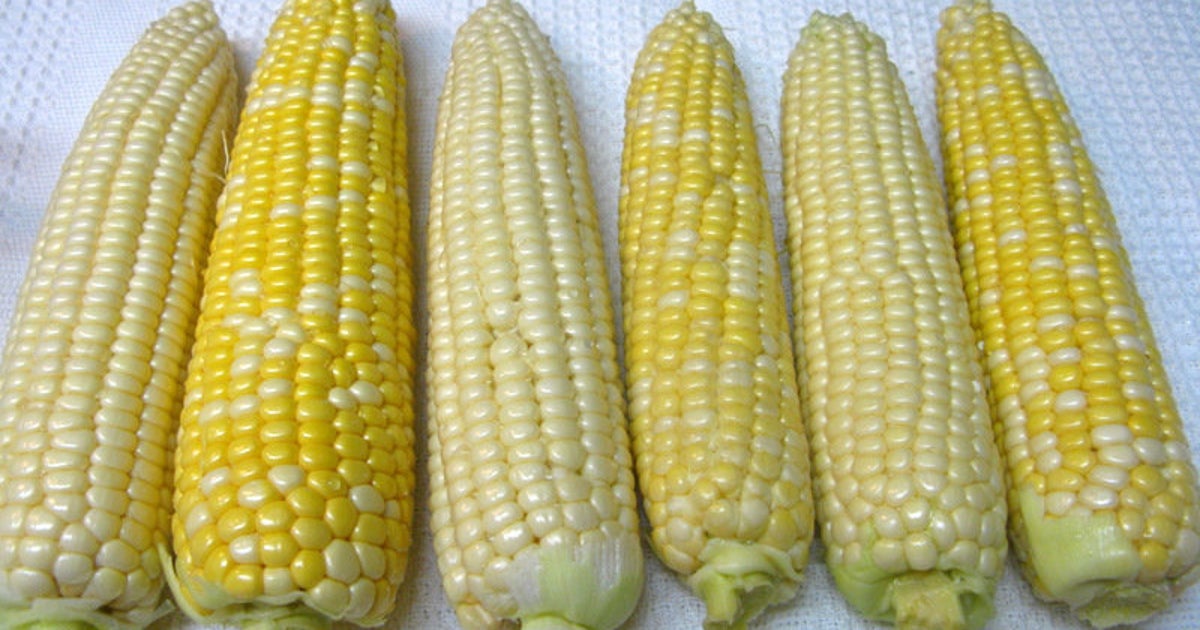 Are GMOs Really That Bad? | HuffPost Life
