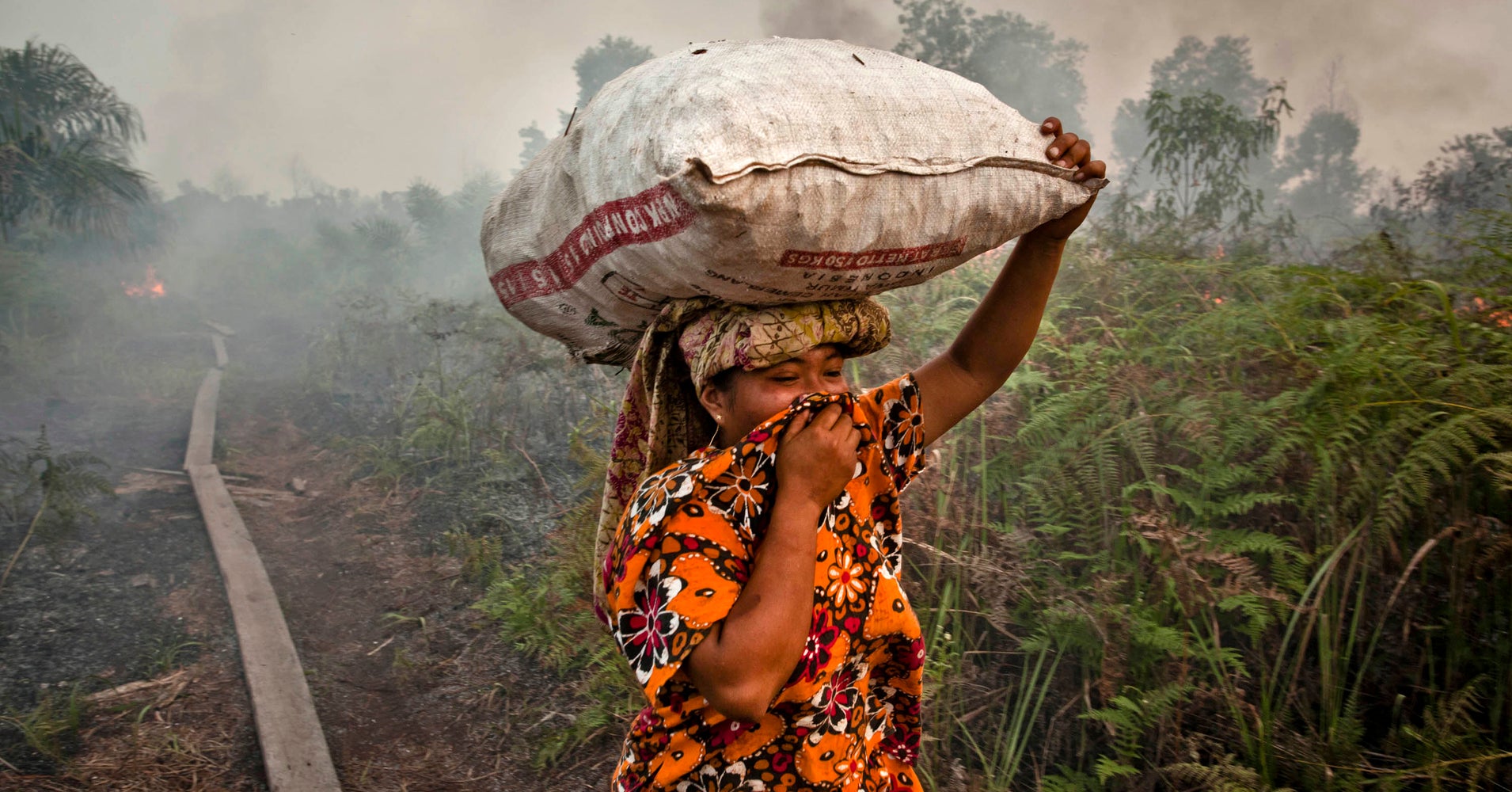 Palm Oil Is In Everything -- And It's Destroying Southeast Asia's ...