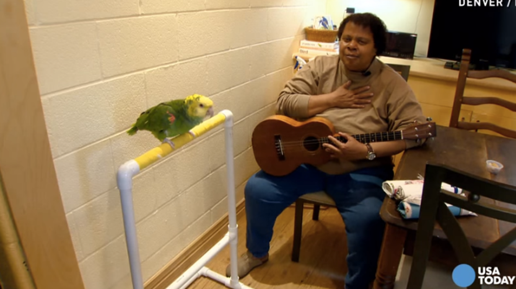 Special Friendship With Rescue Parrot Helps Homeless Jazz Singer Find ...