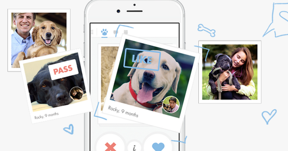 There's Now A 'Tinder For Dogs,' Because Of Course | HuffPost Life