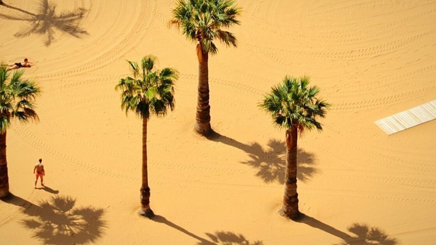 Envy All Of The Birds With This Stunning Series Of Aerial Photos | HuffPost