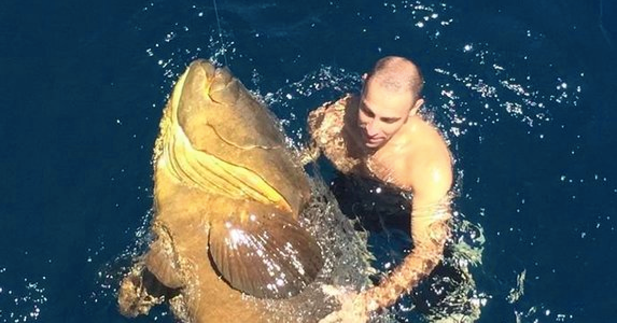 Man Catches 300-Pound Fish, Proves Florida Is A Fisherman's Dream ...