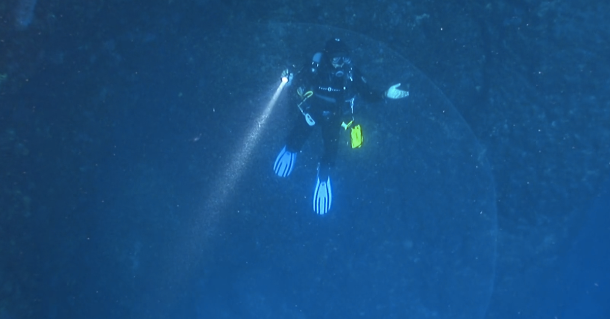 Divers Find Giant Floating Blob, Have No Idea What It Is | HuffPost Impact
