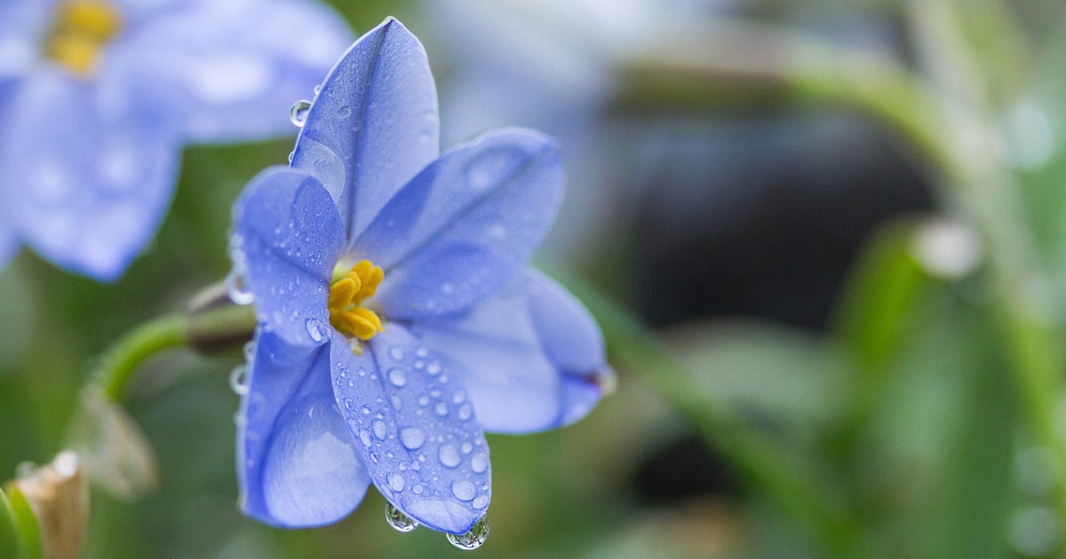 Daily Meditation: The Many Layers Of Life | HuffPost Religion