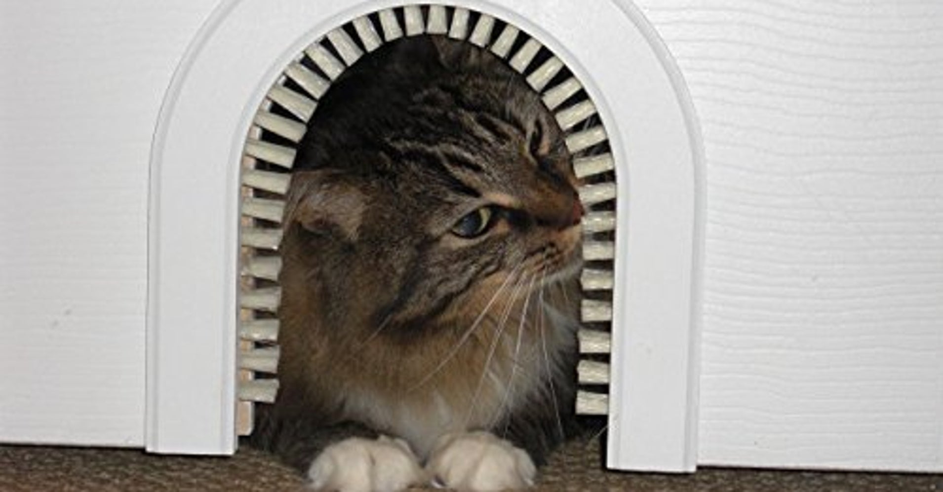 8 Handsome Ways To Hide Your Cats Litter Box Huffpost