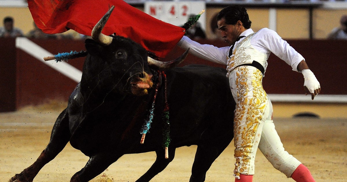Bull Takes Revenge On President Of Bullfighting Club | HuffPost The ...