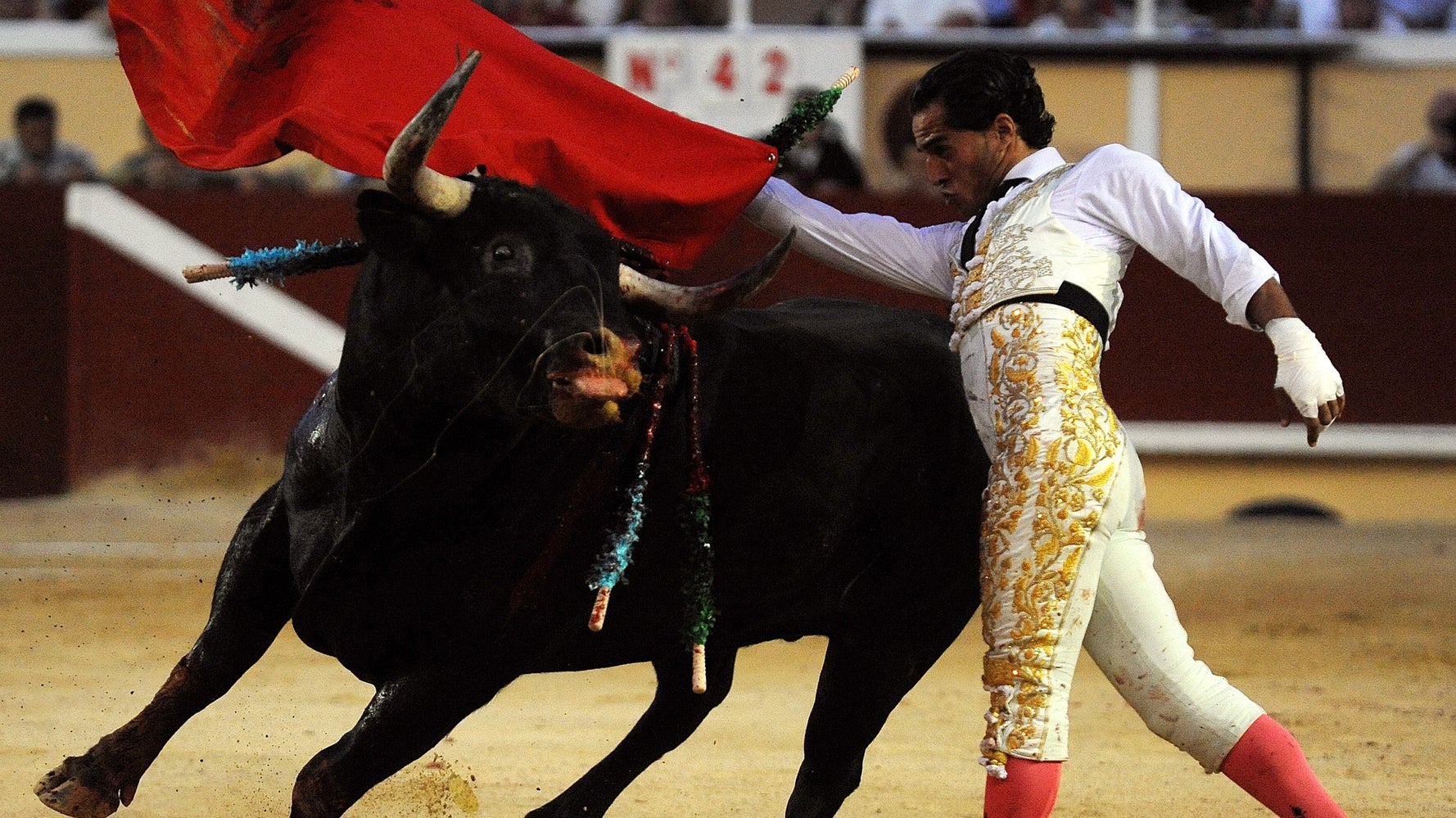 Bull Takes Revenge On President Of Bullfighting Club | HuffPost null