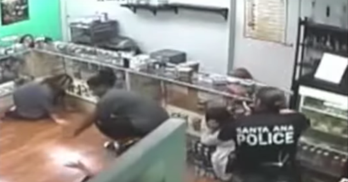 Cops Sue Over Video That Allegedly Shows Them Eating Weed Candy During ...