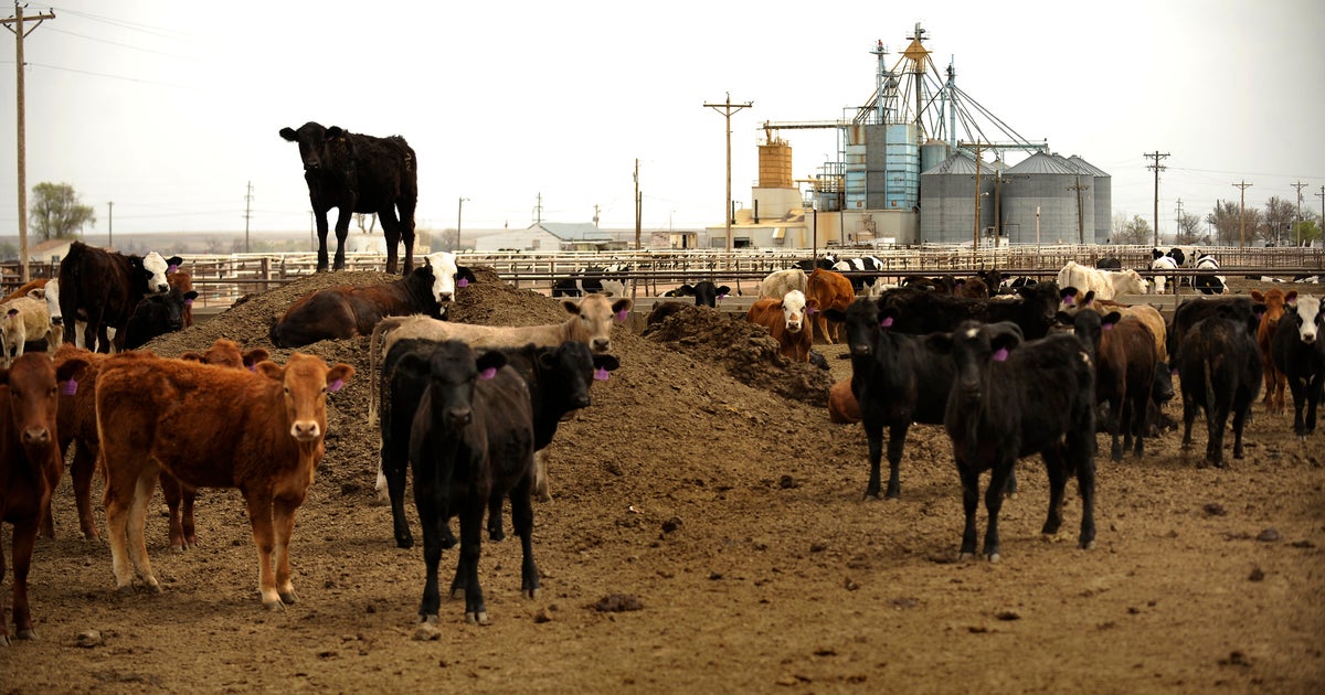 Farmers Are Generating Renewable Energy And Making Money -- Thanks To ...