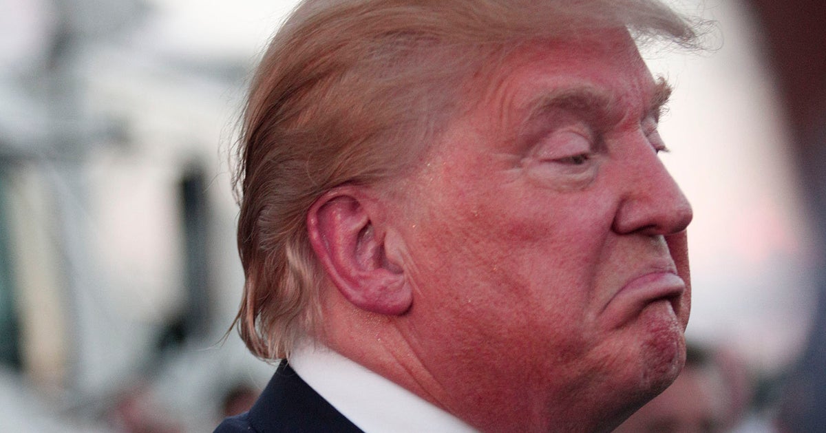 'There Will Be Hell Toupee' If Donald Trump Sees This New Campaign Logo ...