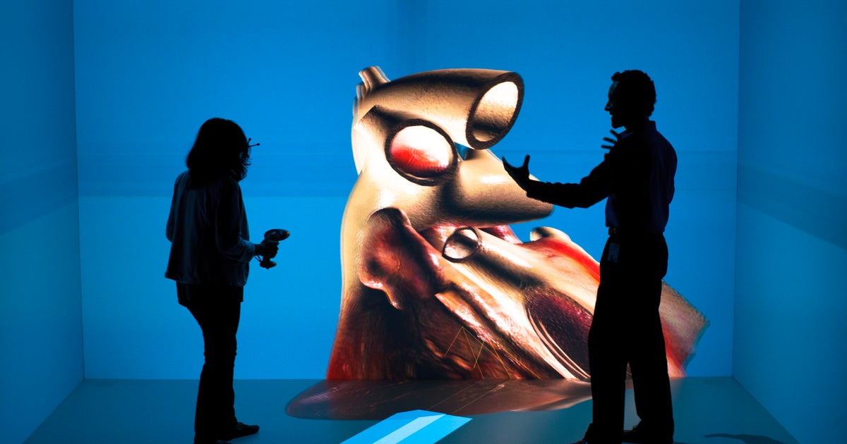 Your Doctor Can Now Examine A 3-D Replica Of Your Heart In Virtual ...
