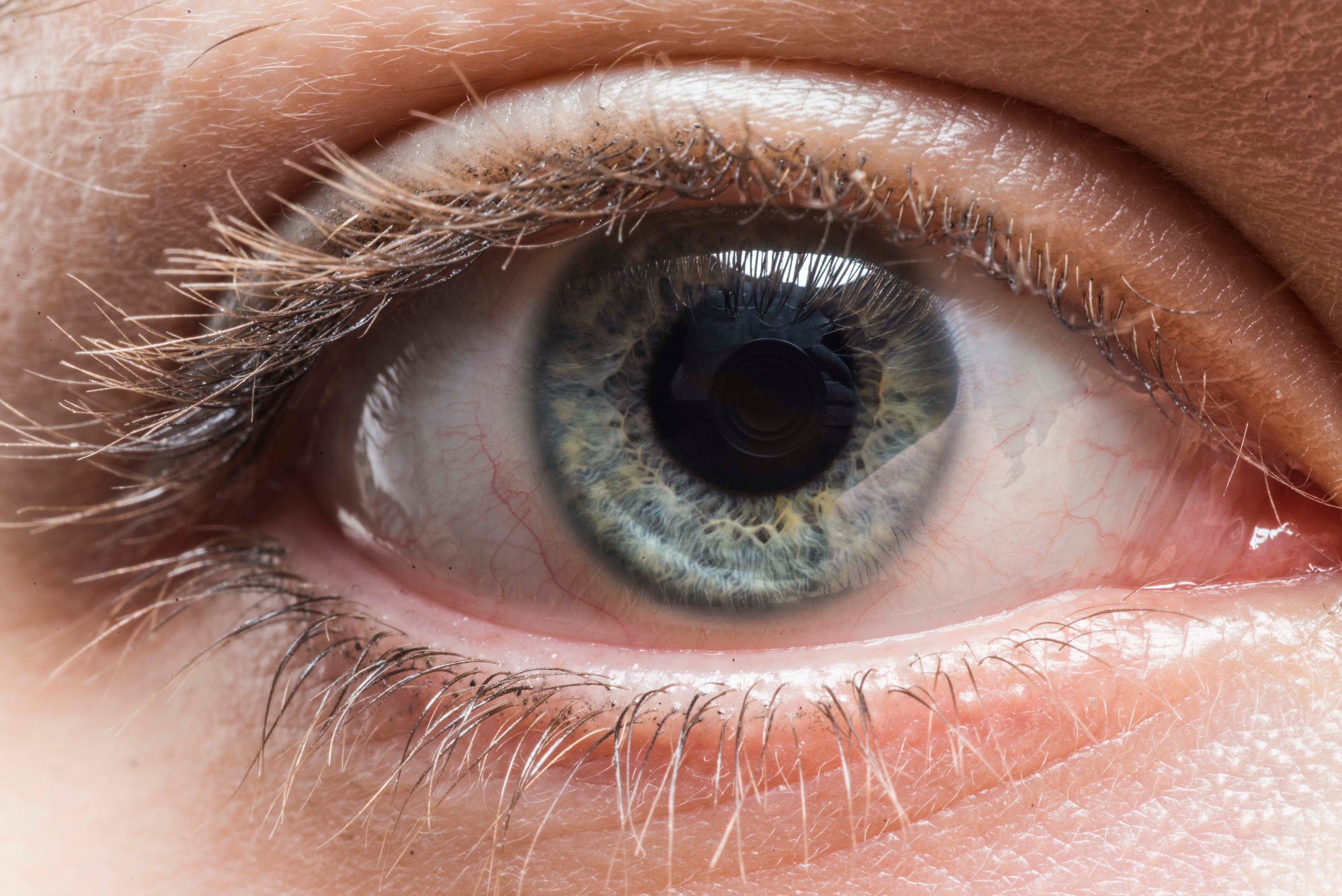 These Macro Photos Reveal The Awesome Diversity Of Human Eyes ...