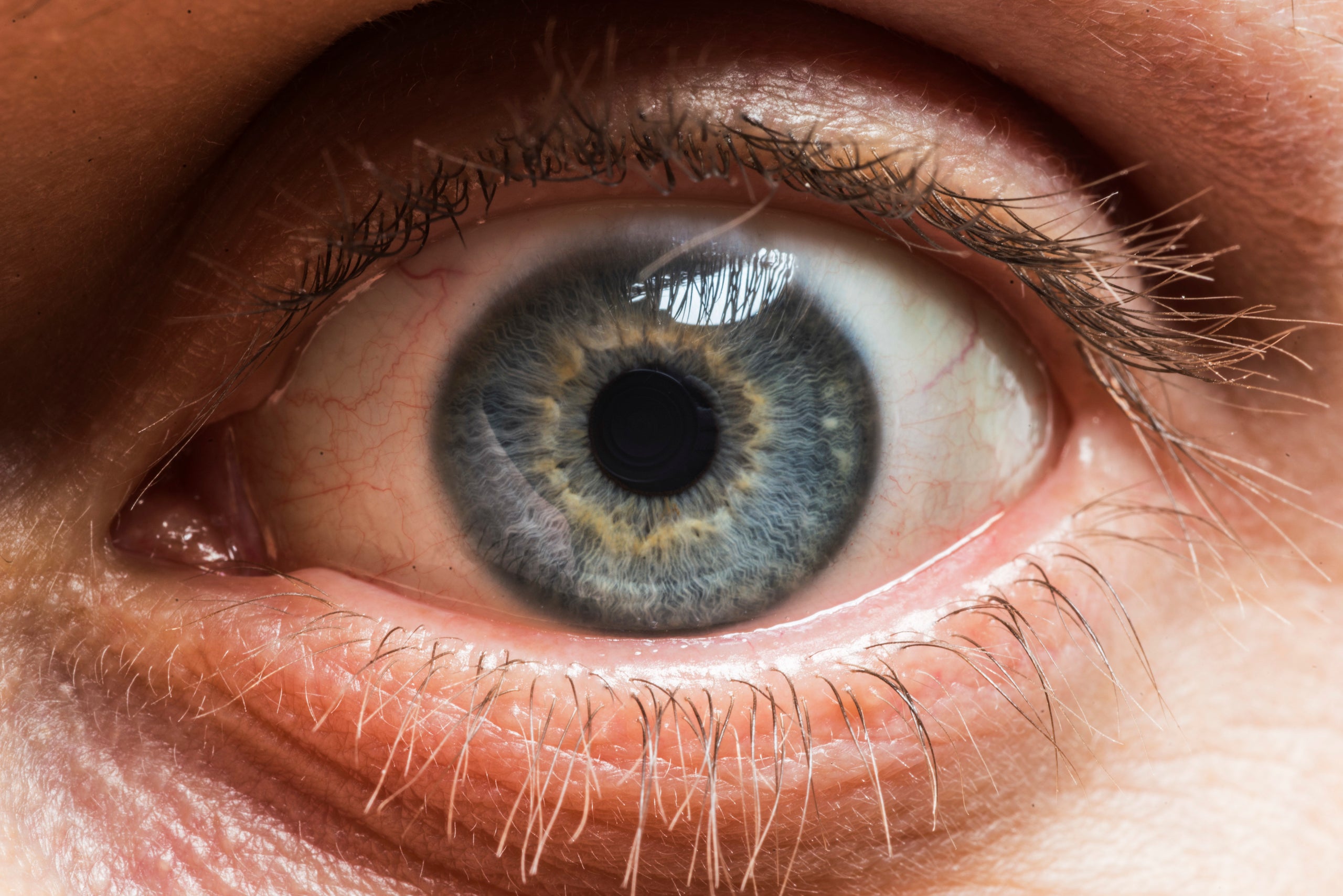 These Macro Photos Reveal The Awesome Diversity Of Human Eyes ...