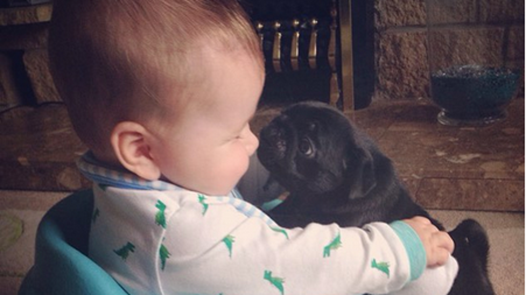 Baby And His Pug Friends Have Some Seriously Cute Cuddle Sessions ...