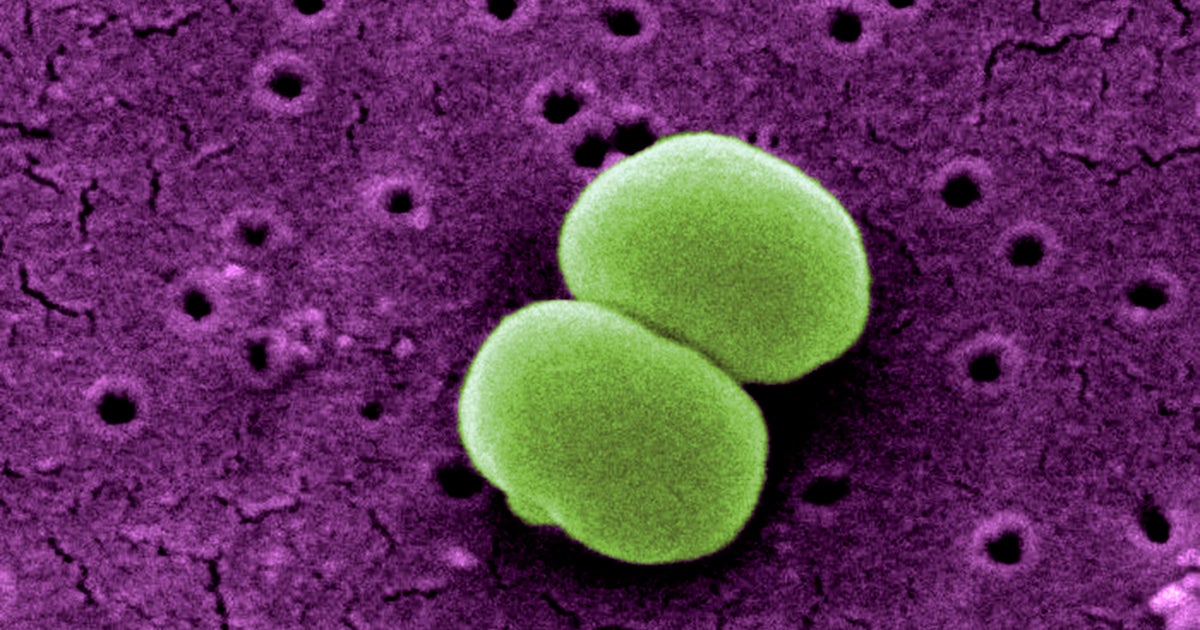 The Microbes Living In Your Home Say A Lot About You | HuffPost Impact