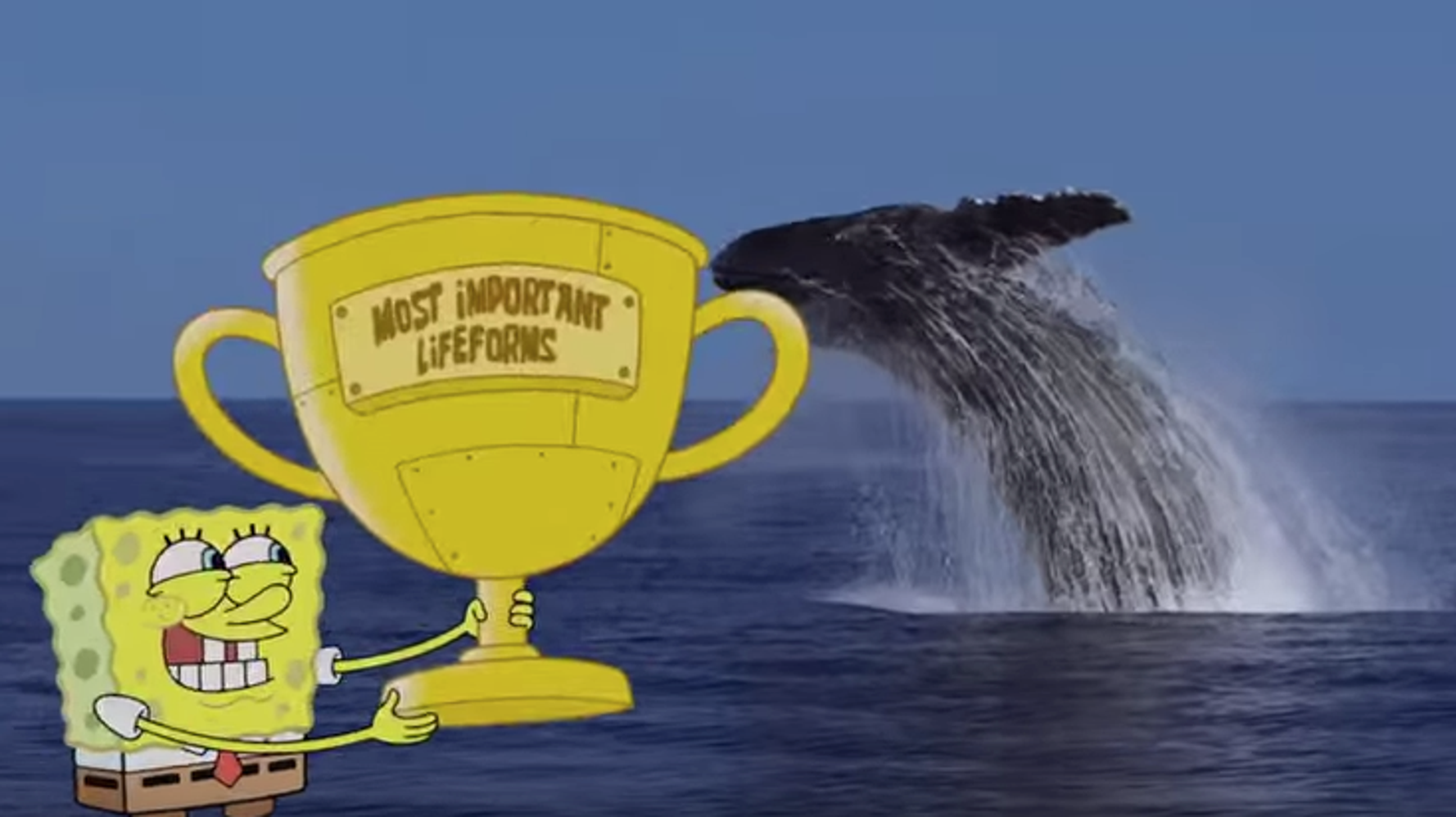 SpongeBob, BBC Earth Join Forces To Share An Important Message | HuffPost