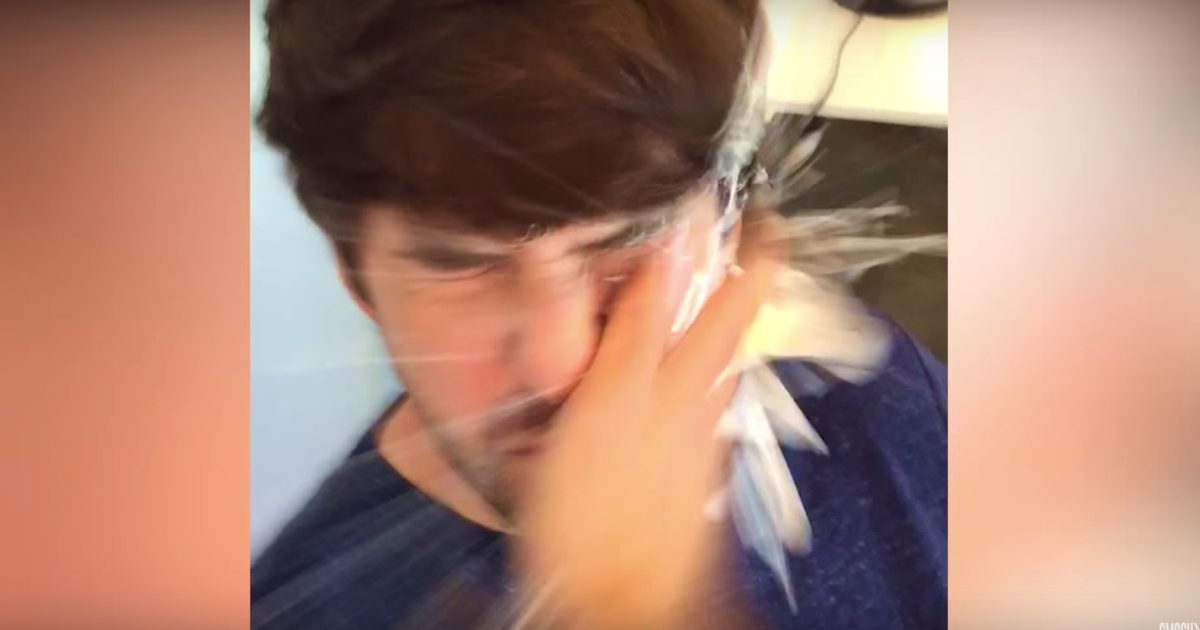 Here's Every Vine You've Ever Seen In A Bit More Than 6 Seconds ...