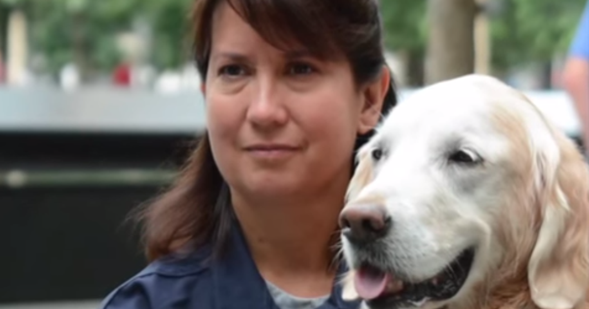 Last Rescue Dog From Ground Zero Gets A Day To Remember In NYC ...