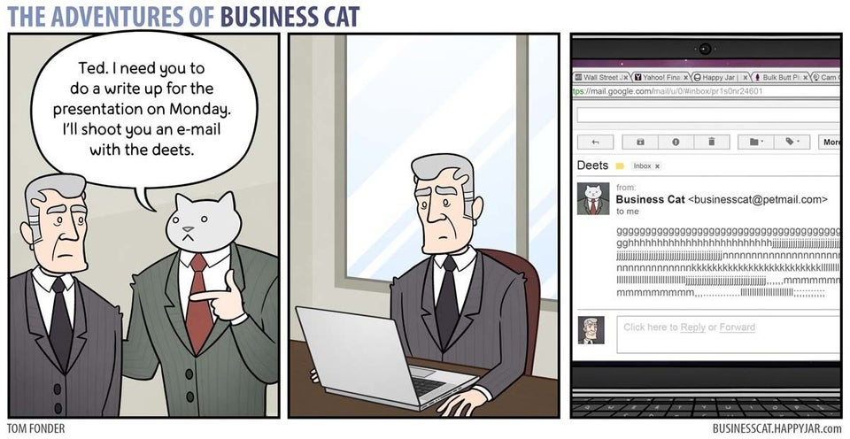 Work Culture Would Change If A Cat Became CEO | HuffPost Impact