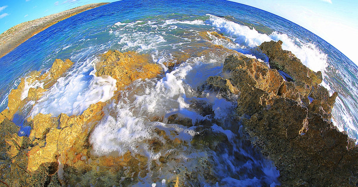 These 50 Fascinating Facts About The Ocean Will Boggle Your Mind ...