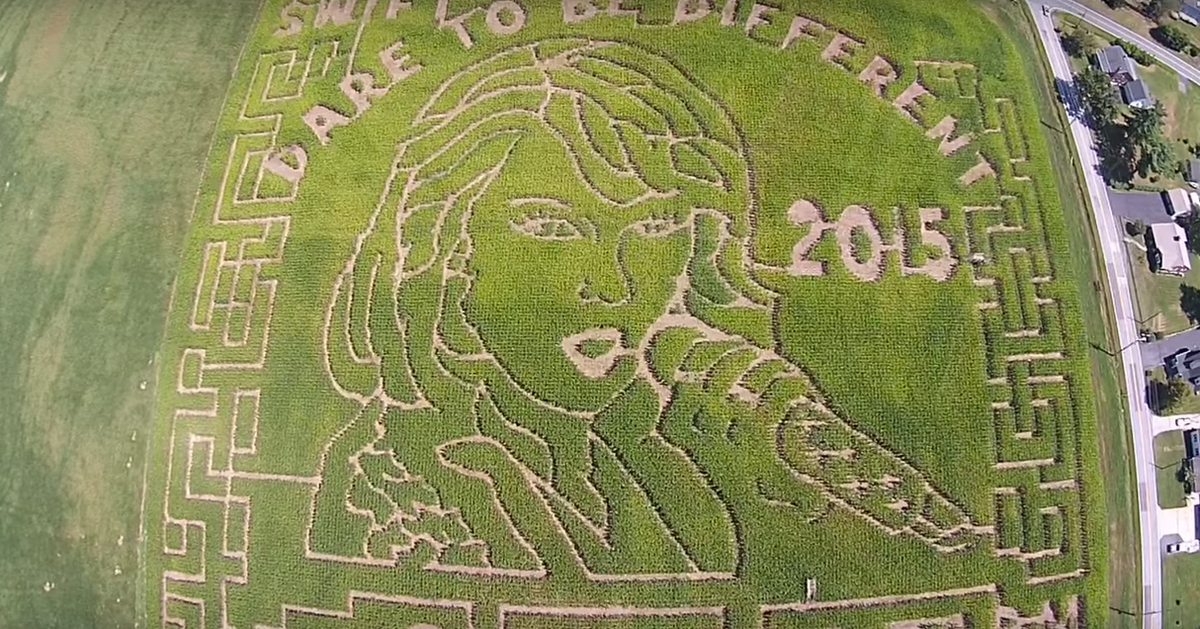 Taylor Swift Immortalized In 'Amaizing' Corn Maze | HuffPost Weird News