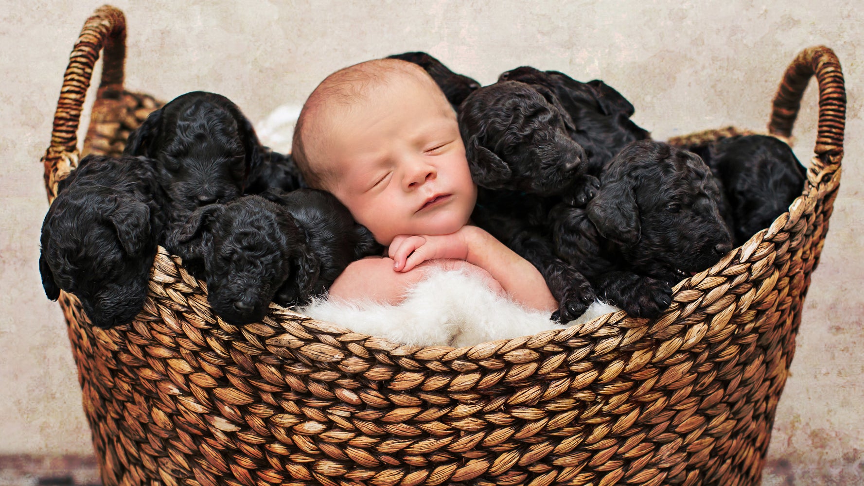Baby And Puppies Born On Same Day Star In Ridiculously Cute Photo Shoot baby-and-puppies-born-on-same-day-star-in-ridiculously-cute-photo-shoot