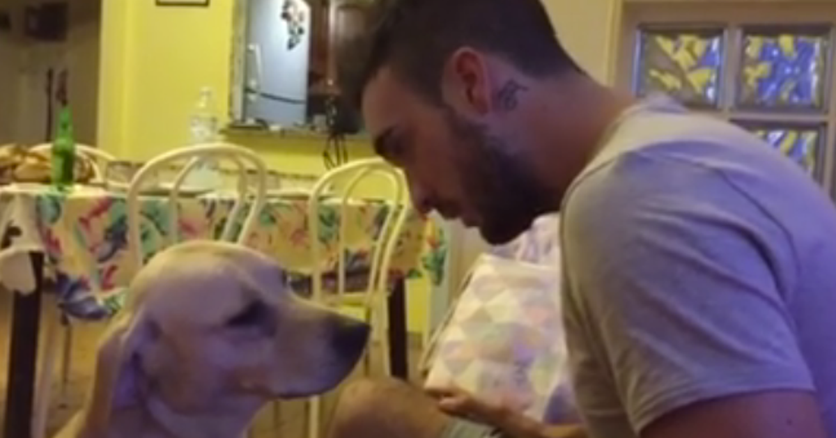 When A Dog Begs For Forgiveness You Can't Stay Mad | HuffPost Good News