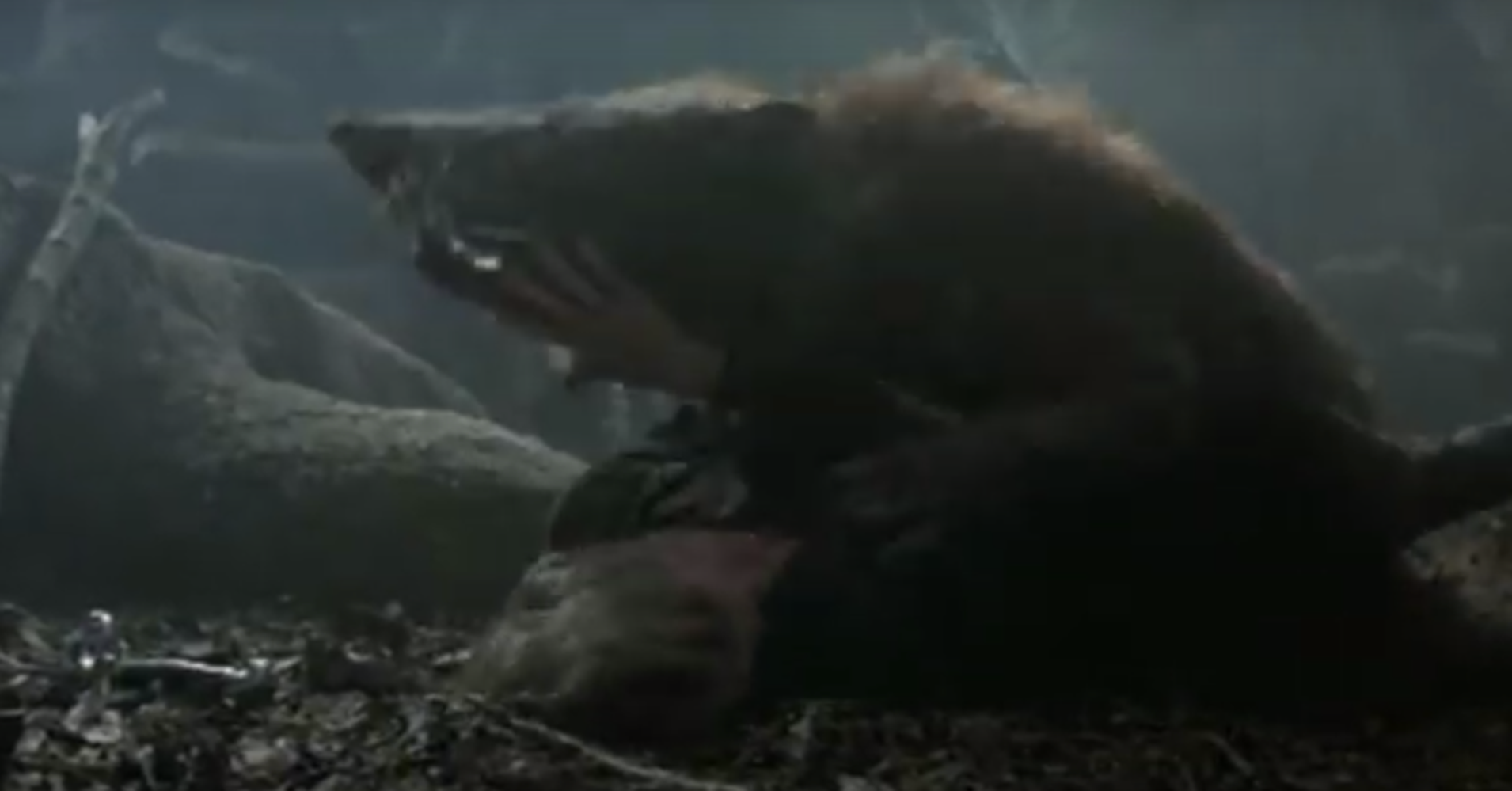 What You Never Knew About That Ginormous Rat From 'The Princess Bride ...