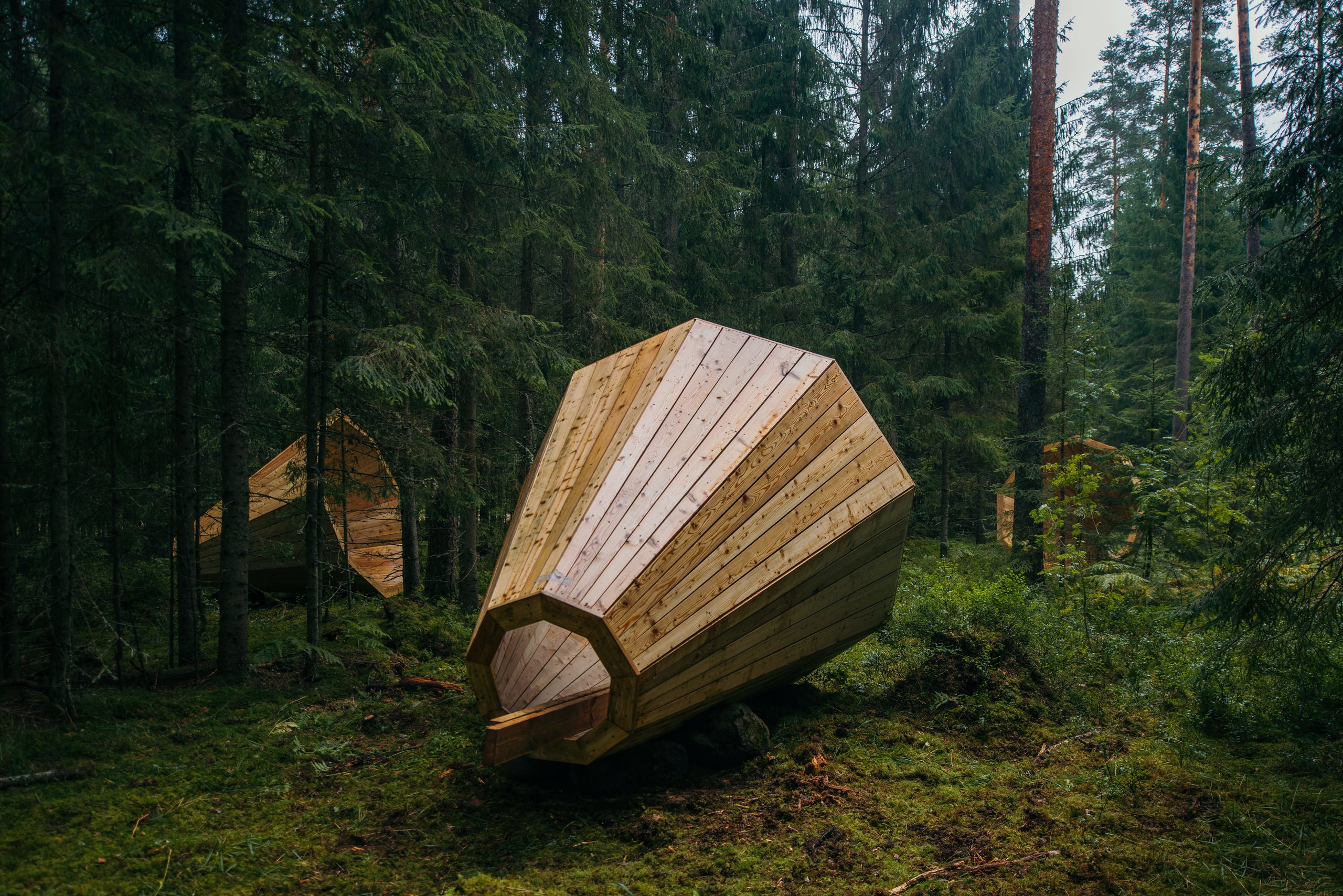 Giant Megaphones In Estonia Let You Listen To Sounds Of The Forest ...