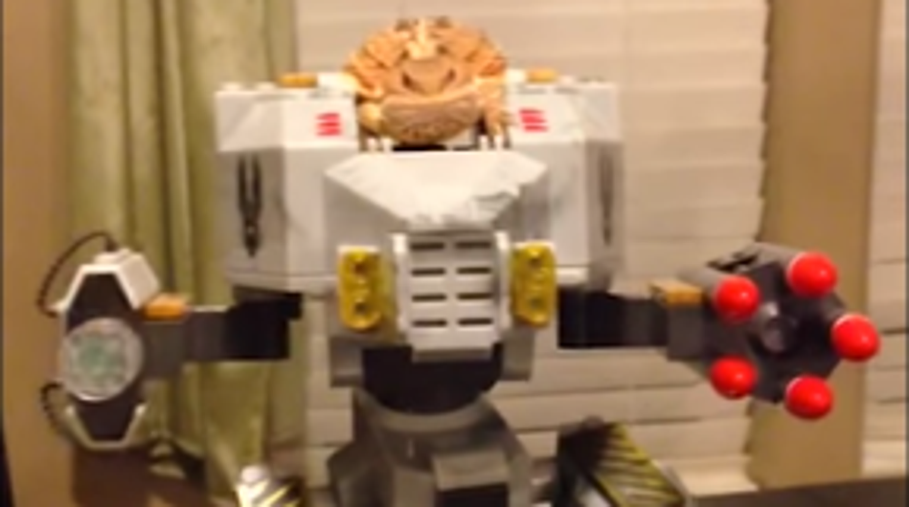 All Fear 'Toad On A Robot' | HuffPost