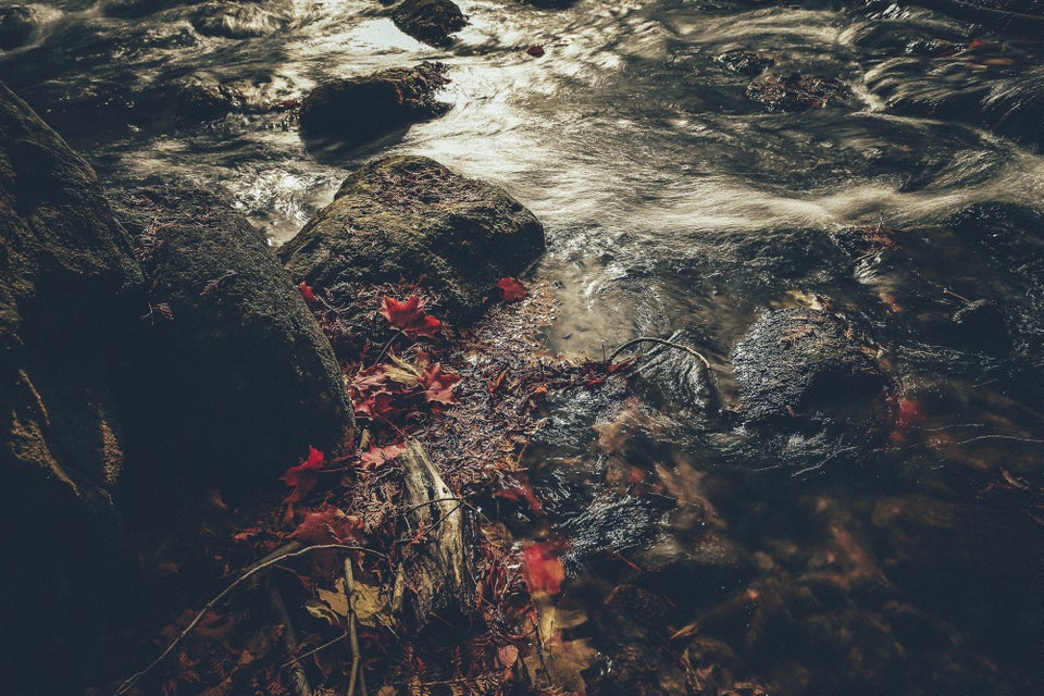 15 Mesmerizing Images From Fall Around The World | HuffPost Life