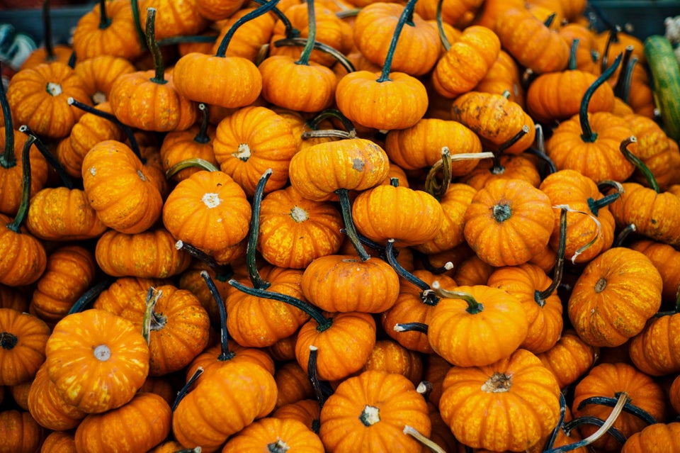 15 Mesmerizing Images From Fall Around The World | HuffPost Life