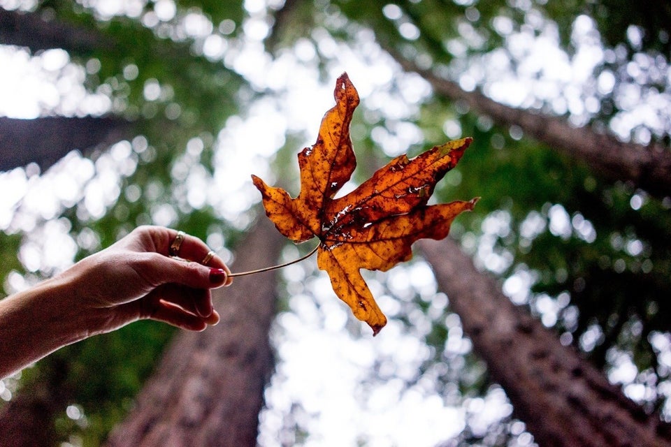 15 Mesmerizing Images From Fall Around The World | HuffPost Life