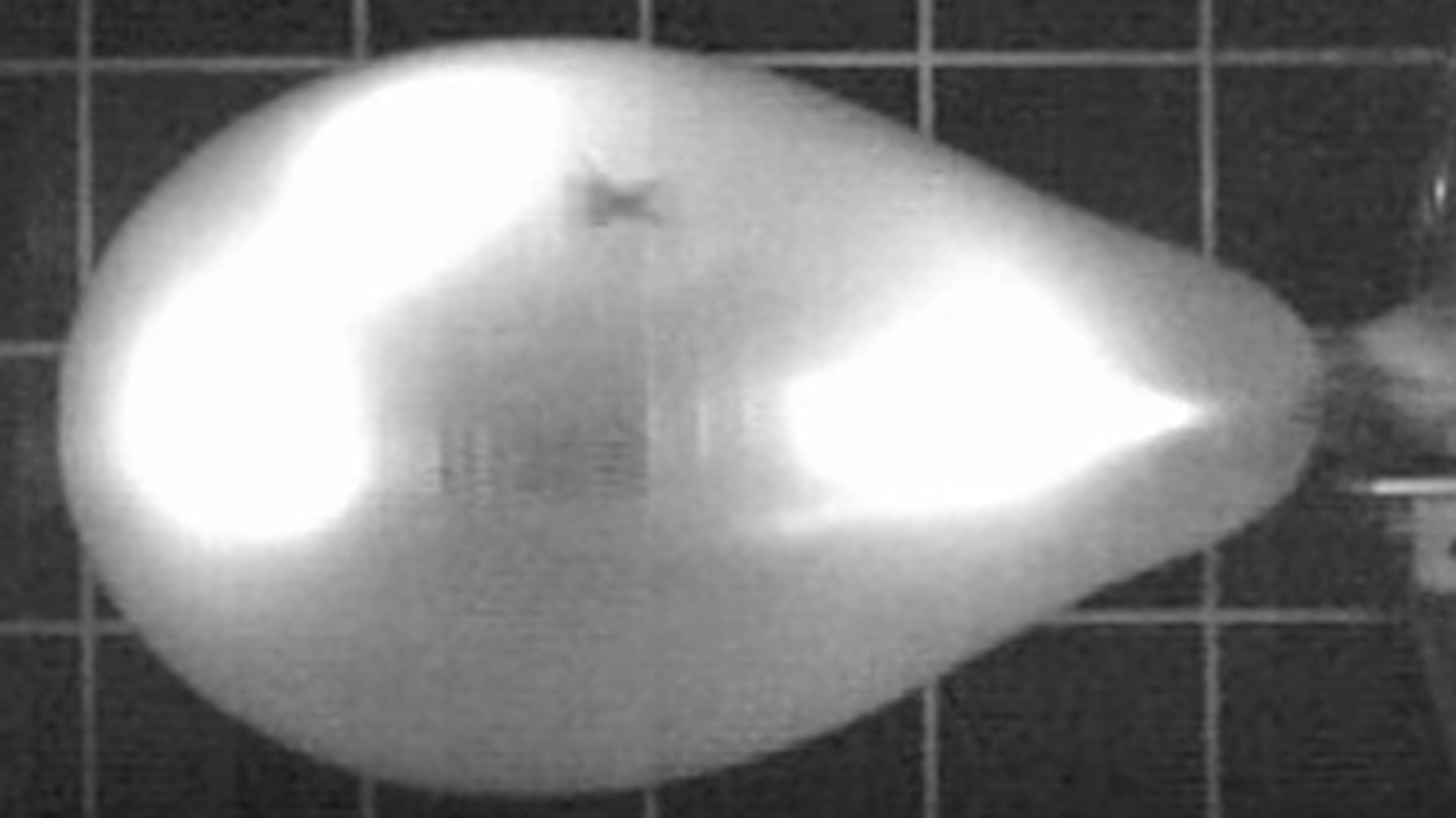 Slo-Mo Video Reveals The Bizarre Way Balloons Burst | HuffPost Impact