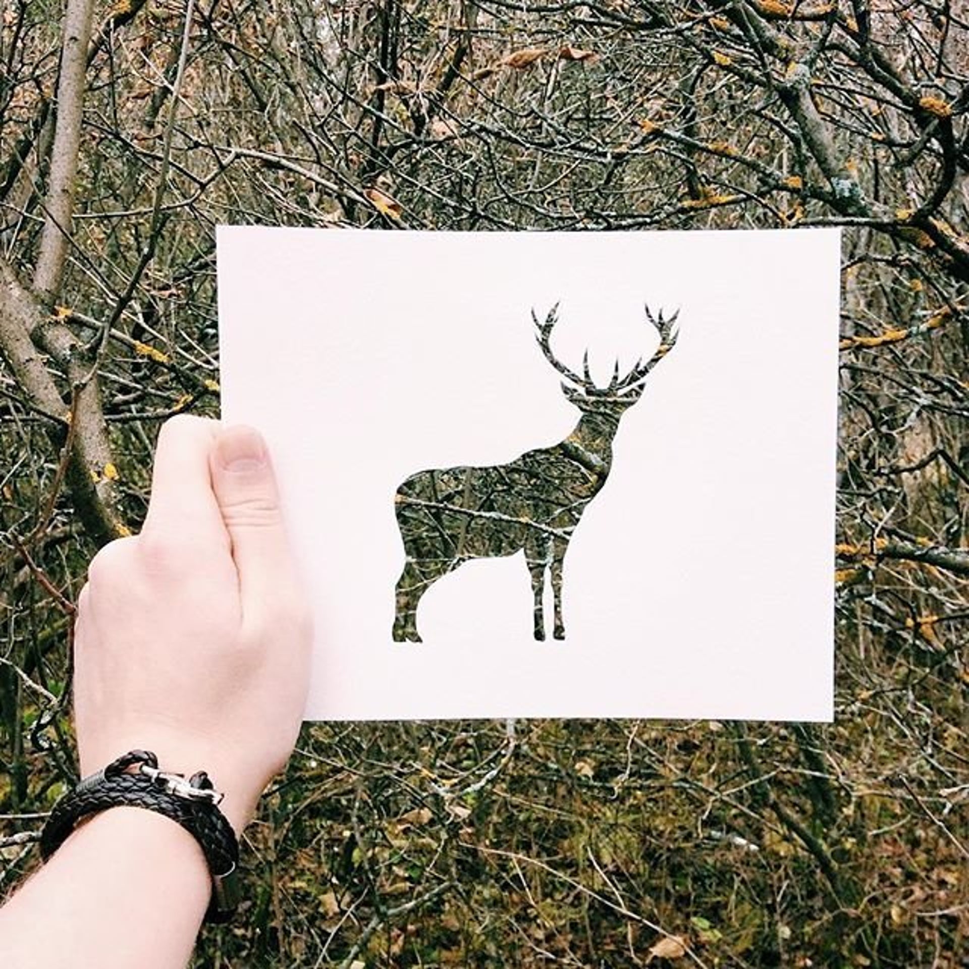 With Paper And A Love Of Nature, An Instagram Artist Is Perfecting The ...