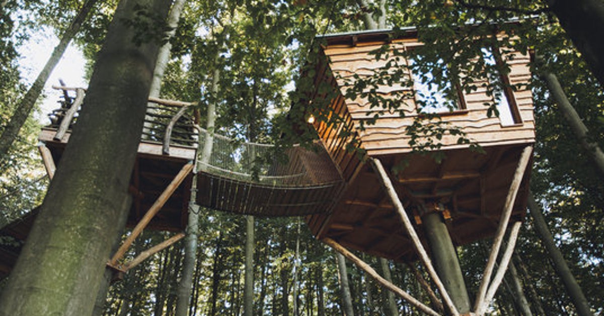 There's A Charming Treehouse Colony In Germany, Calling Your Name ...