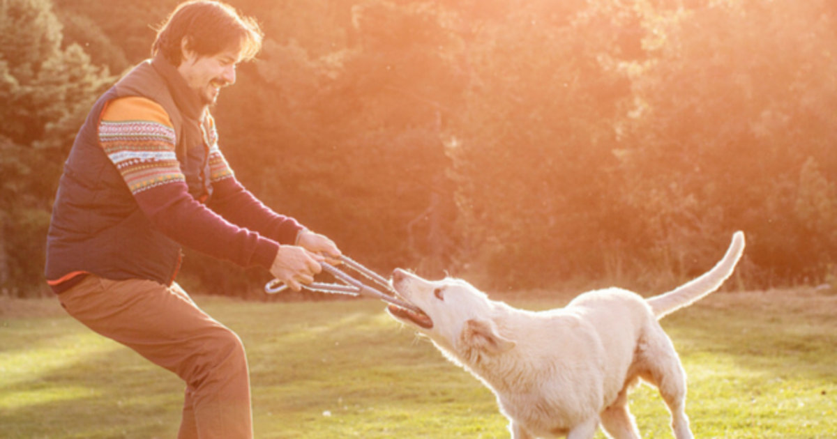 10 Rescue Dogs That Actually Rescued Their Owners | HuffPost Good News