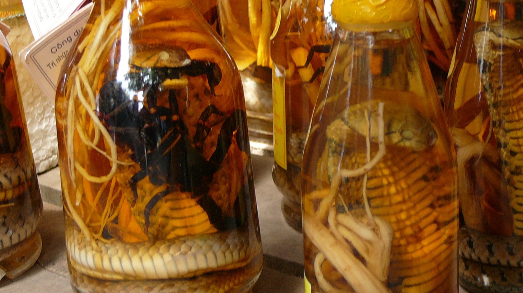 17 Terribly Weird Alcoholic Beverages You Should Know About HuffPost Life 17-terribly-weird-alcoholic-beverages-you-should-know-about-huffpost-life