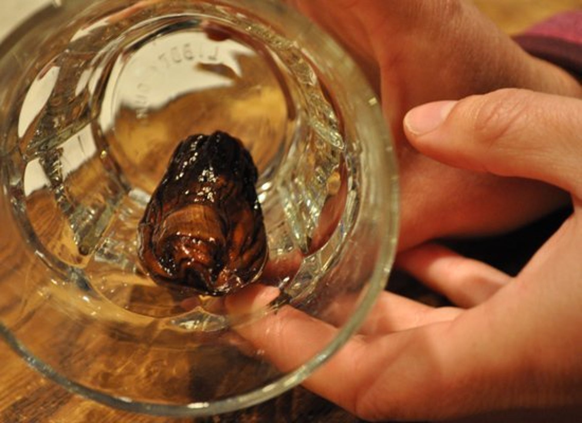 17 Terribly Weird Alcoholic Beverages You Should Know About | HuffPost Life