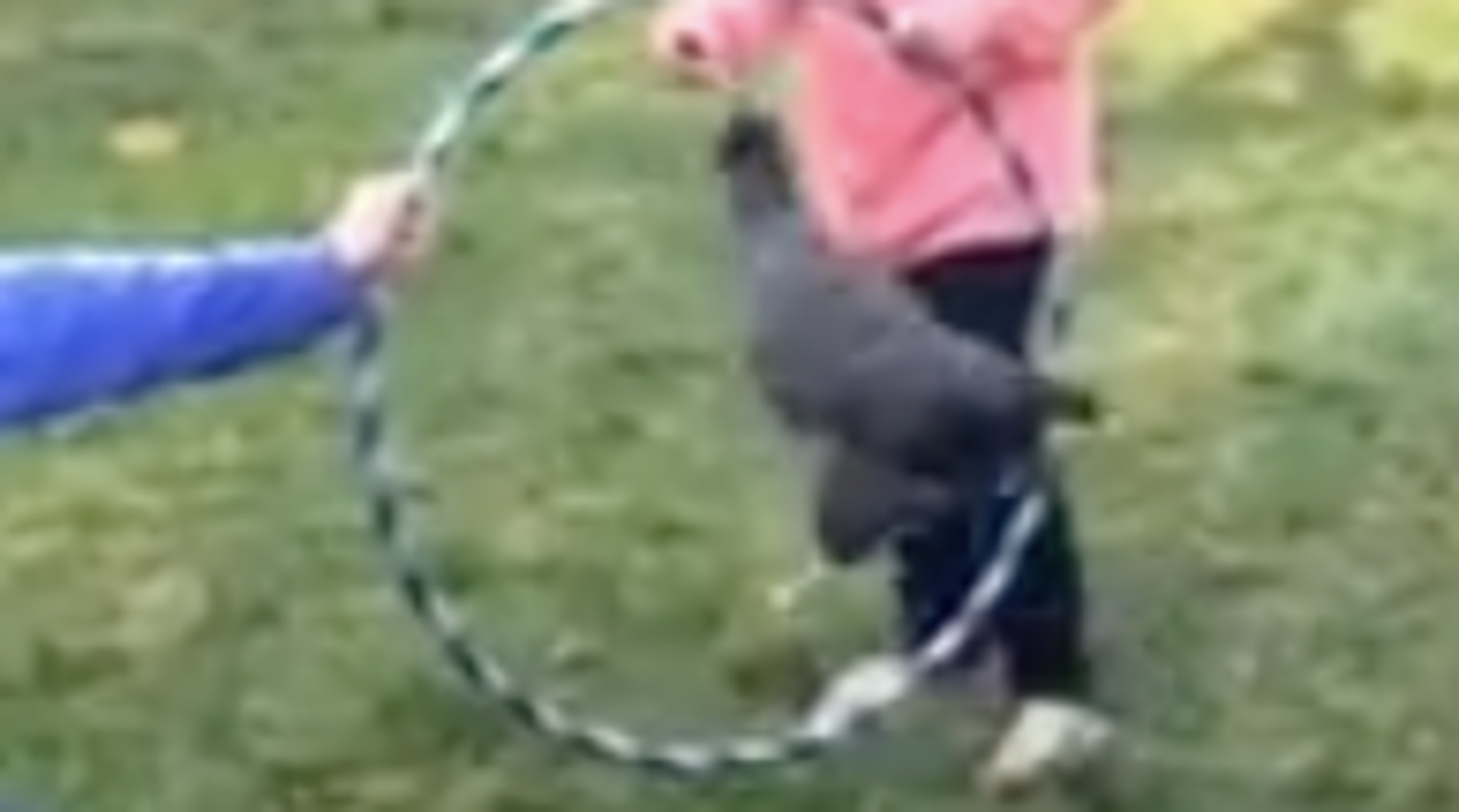 'Ninja Warrior' Chicken Nails Obstacle Course | HuffPost