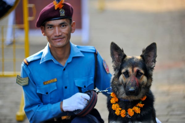 These 23 Nepalese Dogs Are Totally Cool With Being Worshipped For ...