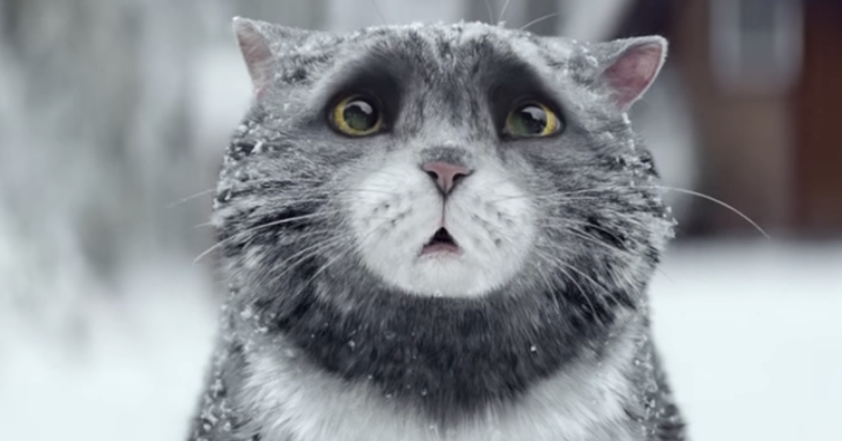 Clumsy Cat’s Christmas Calamity Captured In Heartwarming Viral Ad ...