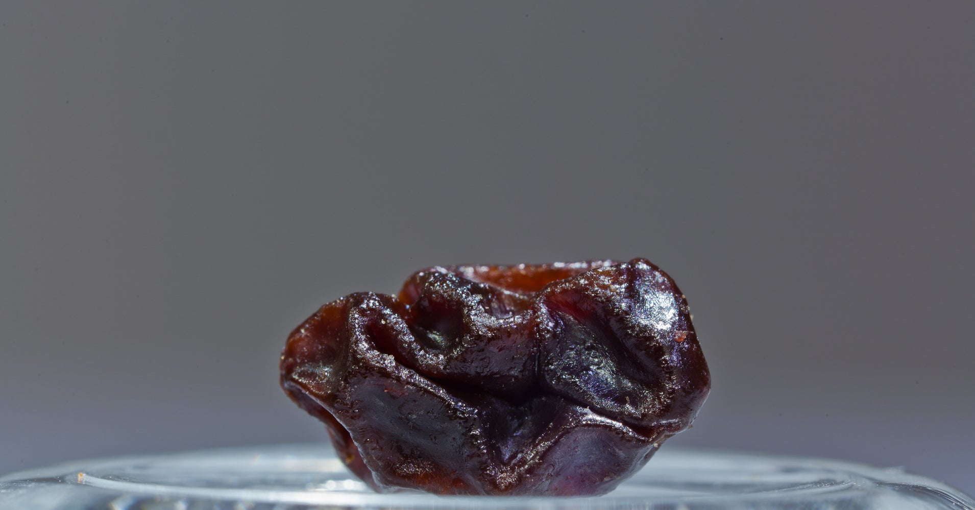 Single Raisin