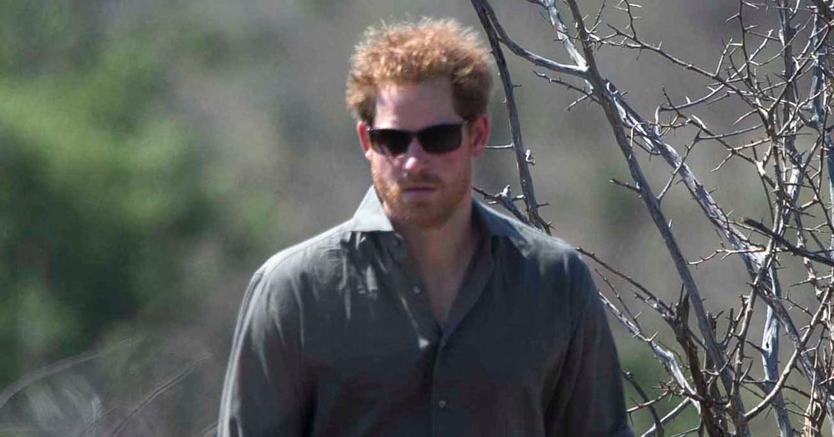 Prince Harry Swaps His Royal Duds For Saving Animals | HuffPost Life
